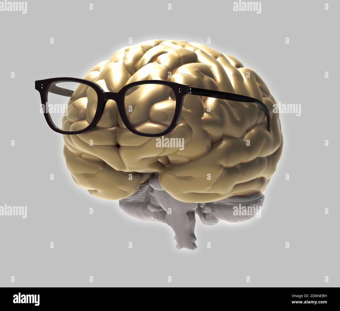 Eye Glasses And Brain Stock Photos Eye Glasses And Brain Page 4