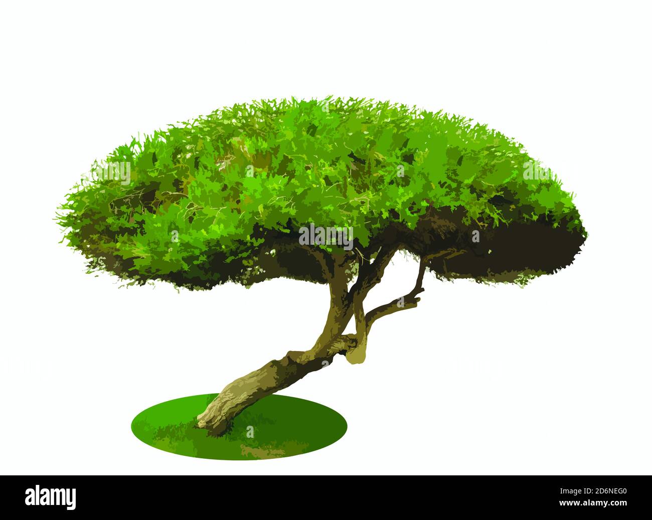 Outdoor bonsai Cut Out Stock Images & Pictures - Alamy