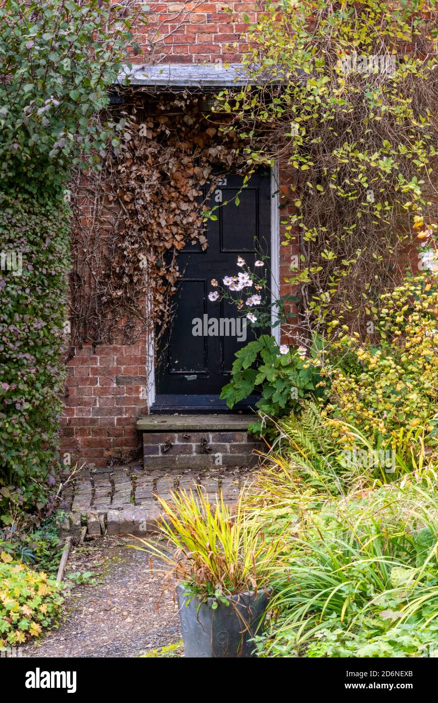 old wooden cottage door surrounded by plants and flowers in a country ...