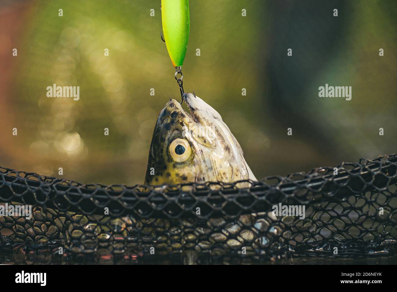 Fishing became a popular recreational activity hi-res stock photography ...