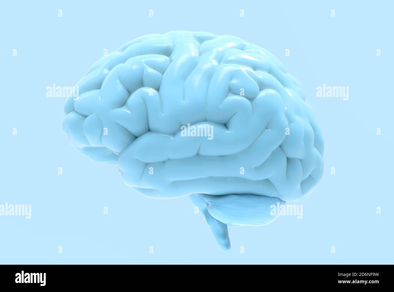 3D blue brain rendering illustration isolated on pastel background with ...