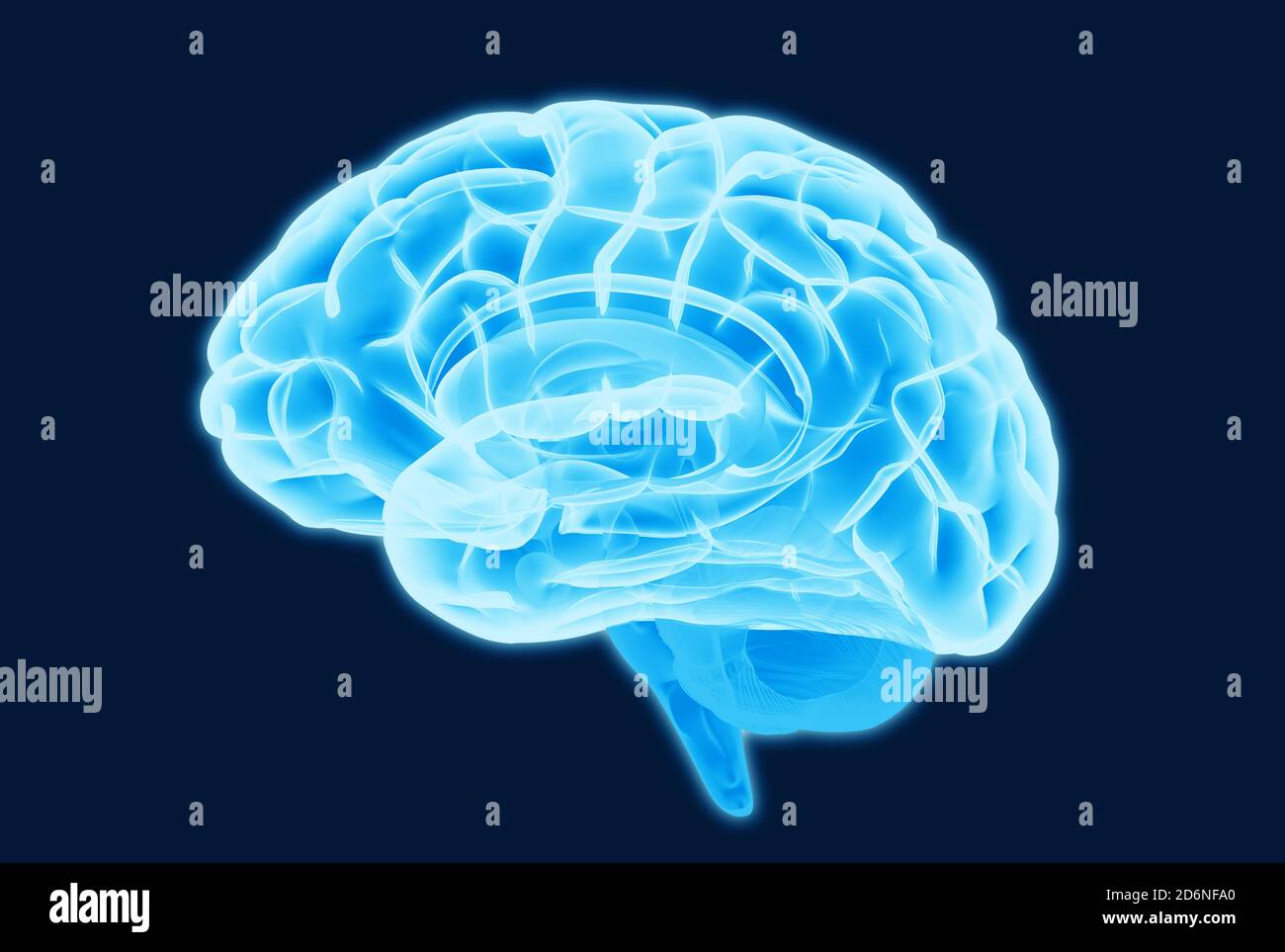 3D blue light glowing xray brain illustration isolated on dark ...