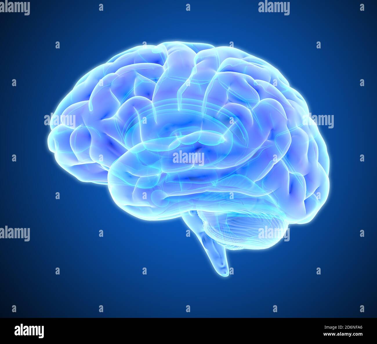 Mri brain activity hi-res stock photography and images - Alamy