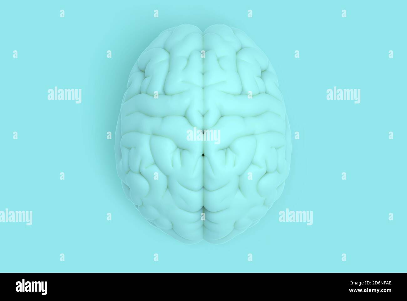 3D brain rendering illustration in top view template background ...