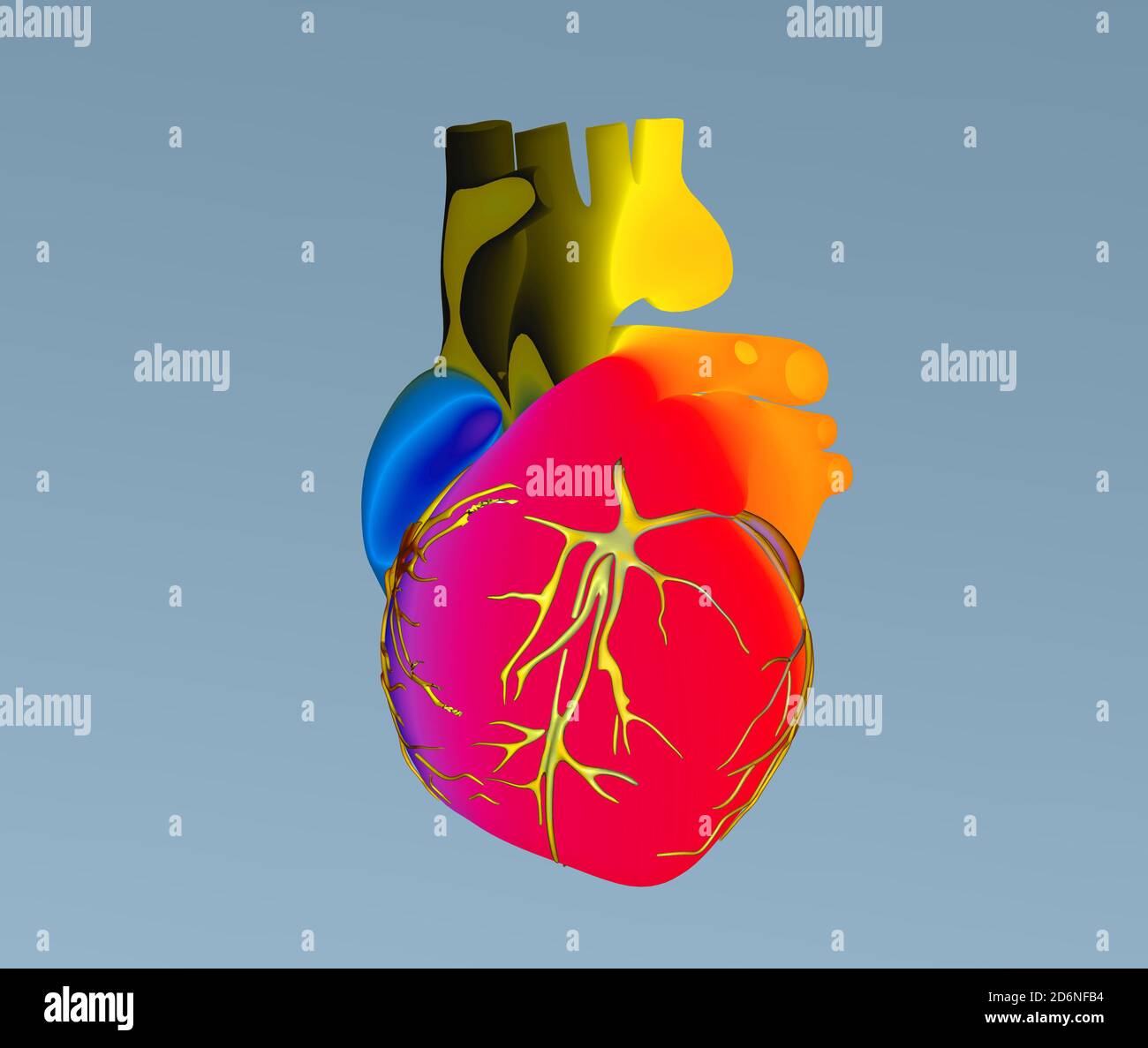 3D colorful flat human heart illustration with multi color for section ...