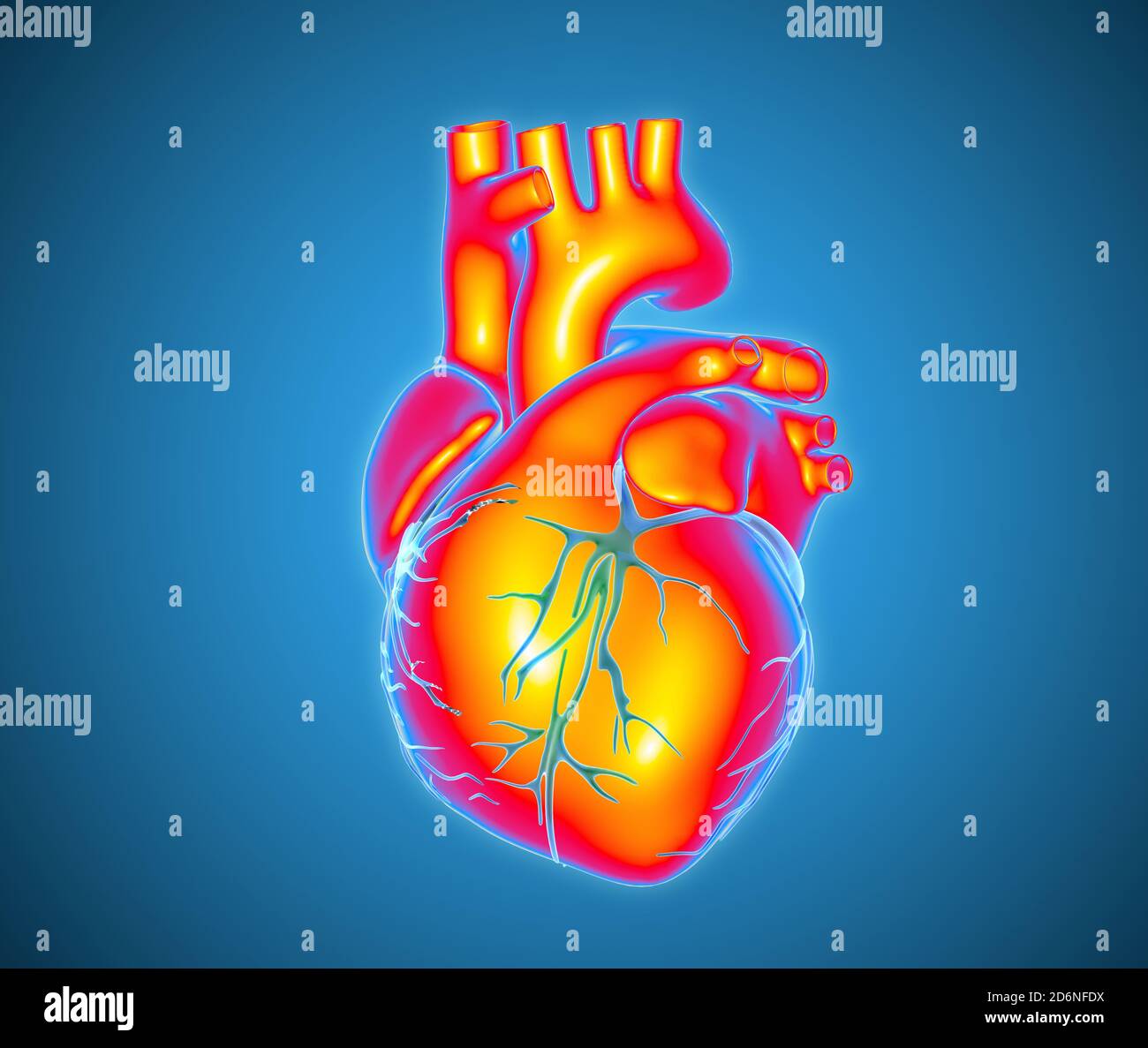 3D colorful human heart illustration in multi color for section part ...