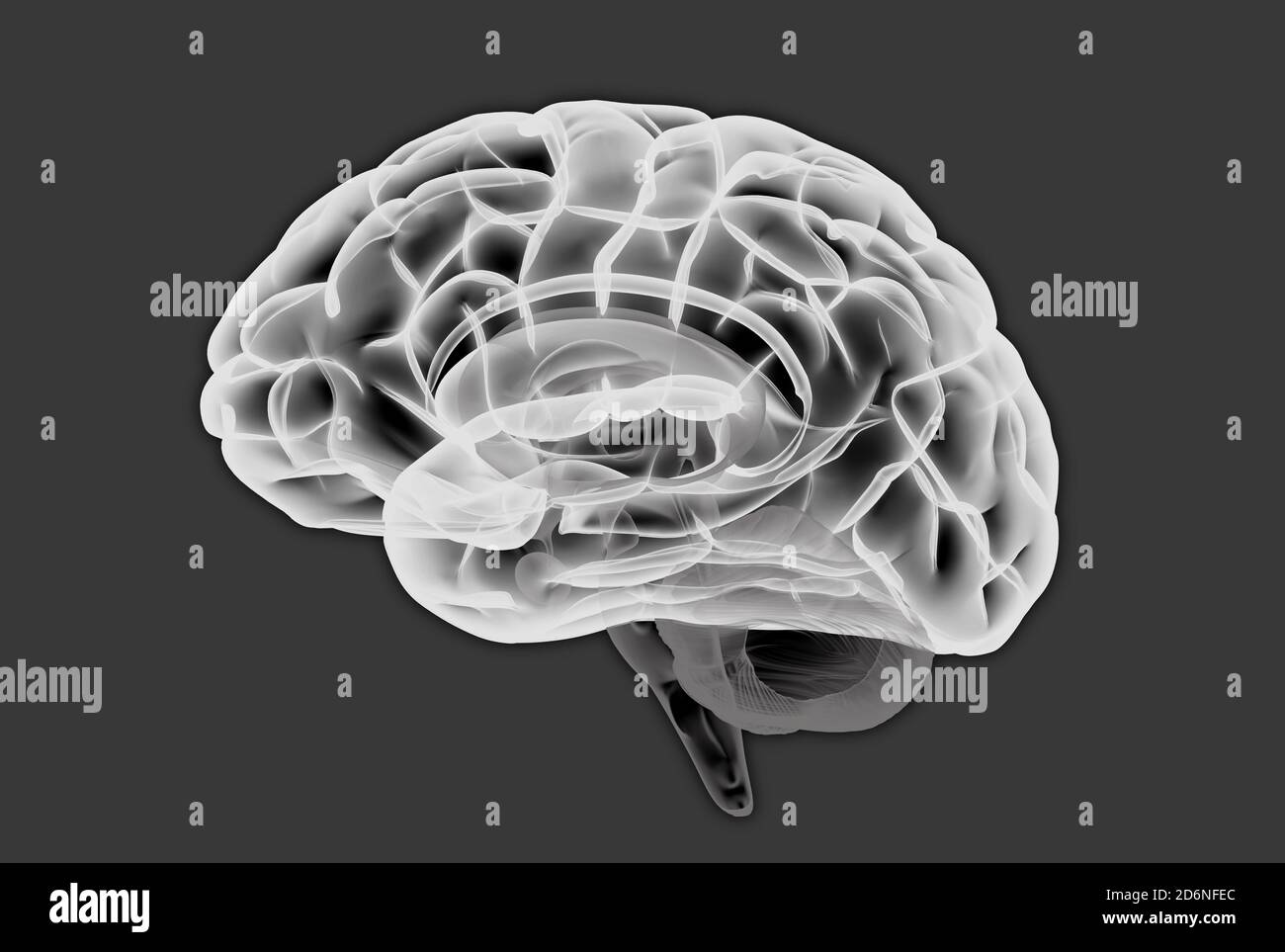 3D xray brain illustration isolated on dark background with clipping ...