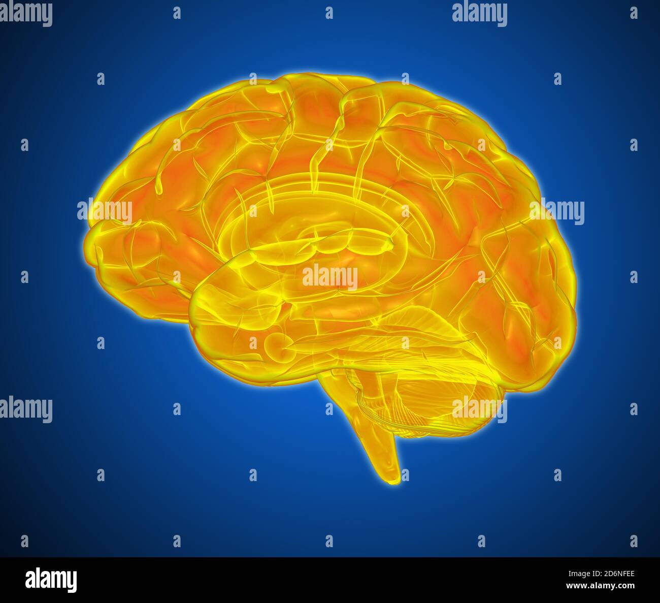 3D orange yellow glowing xray brain illustration isolated on dark blue ...