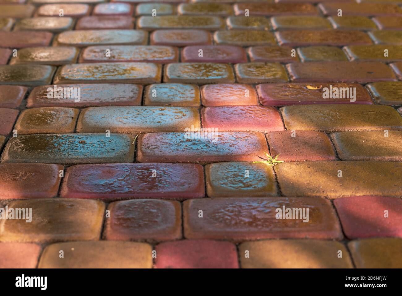 pink paving slab after rain for background Stock Photo - Alamy
