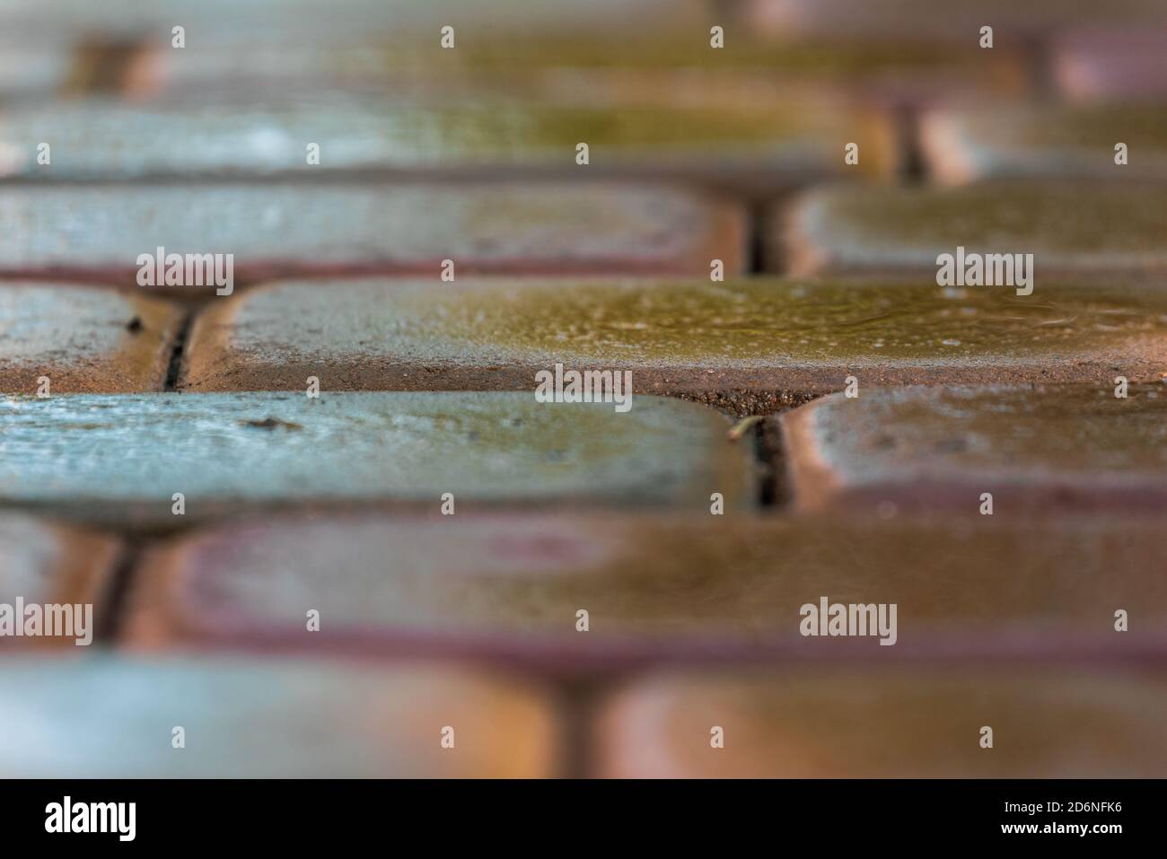 pink paving slab after rain for background Stock Photo - Alamy