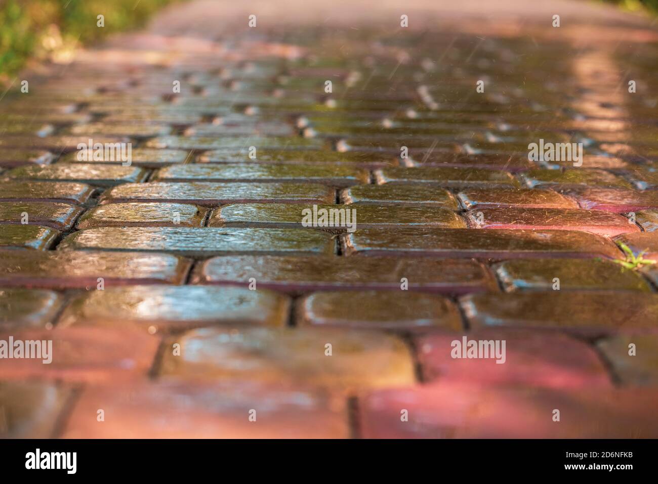 pink paving slab after rain for background Stock Photo - Alamy