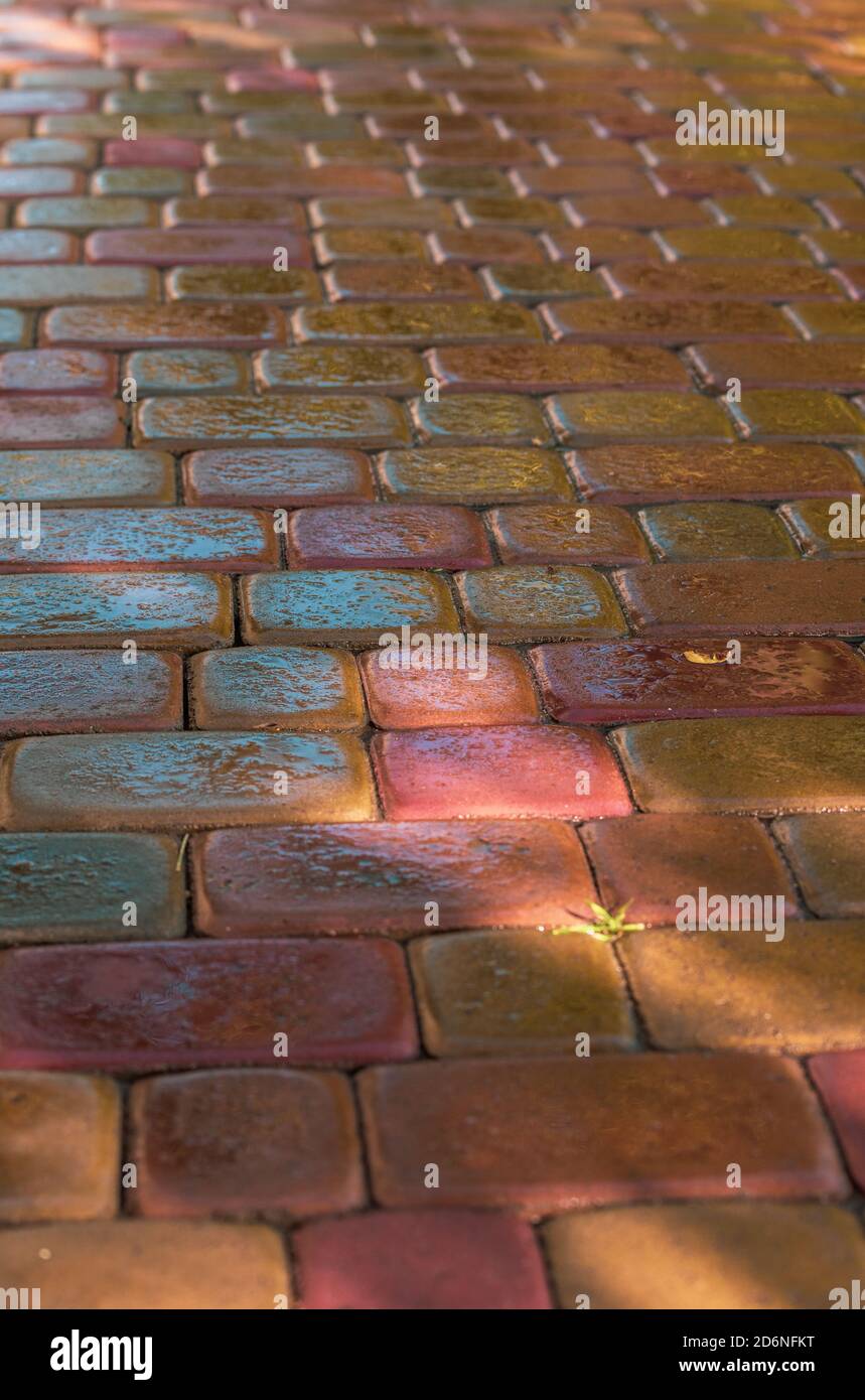 pink paving slab after rain for background Stock Photo - Alamy