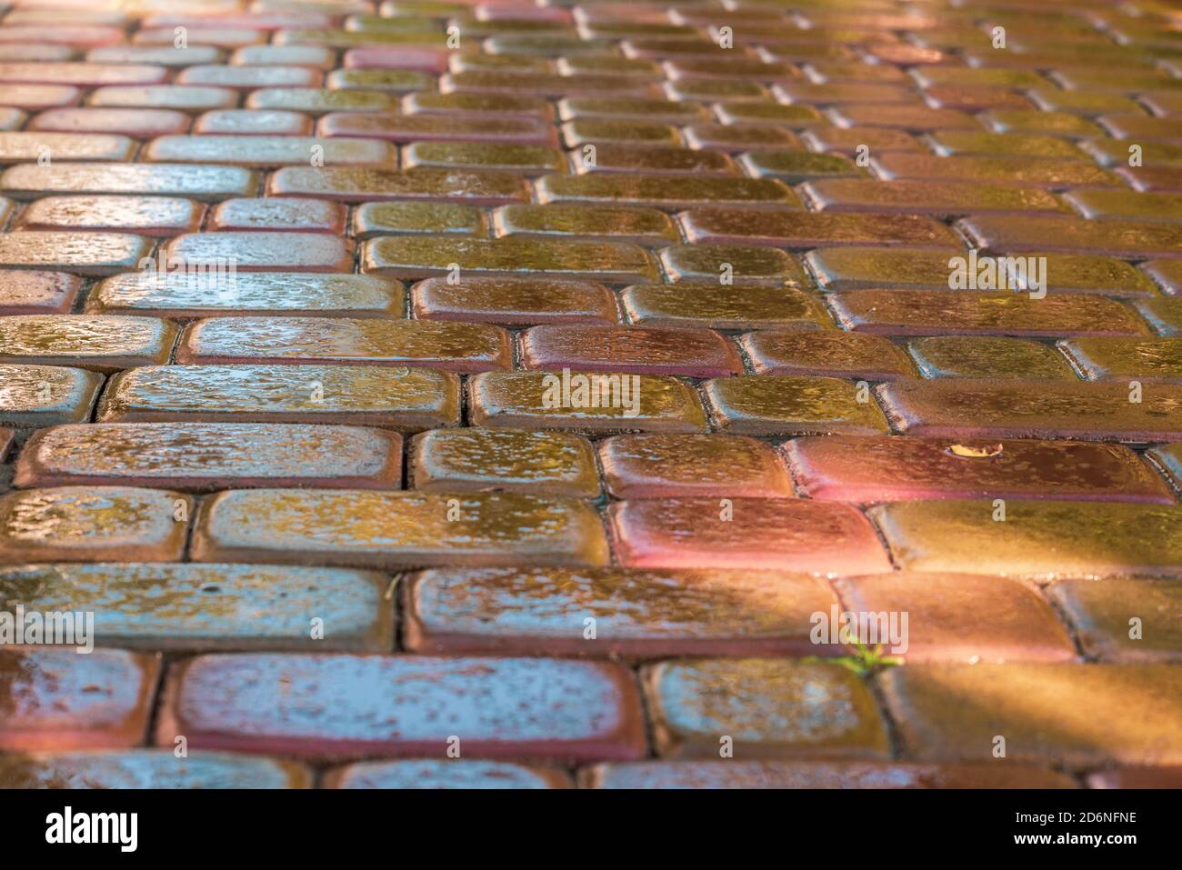 pink paving slab after rain for background Stock Photo - Alamy