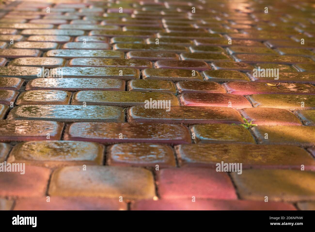 pink paving slab after rain for background Stock Photo - Alamy