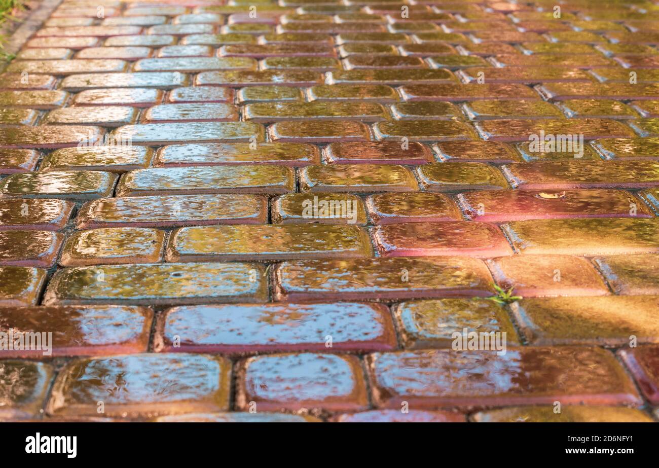 pink paving slab after rain for background Stock Photo - Alamy