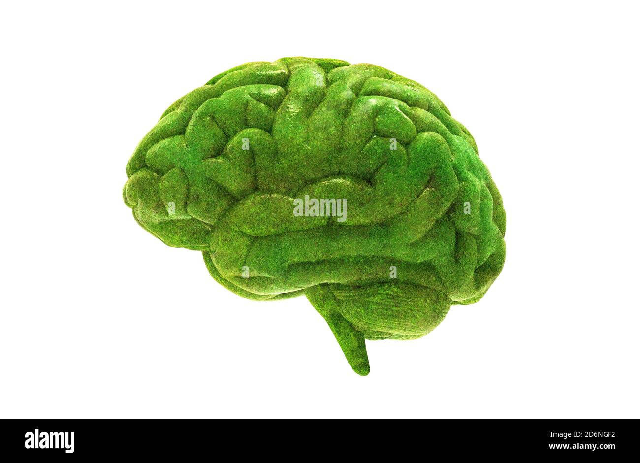 3D human brain llustration covering with green plant isolated on white ...