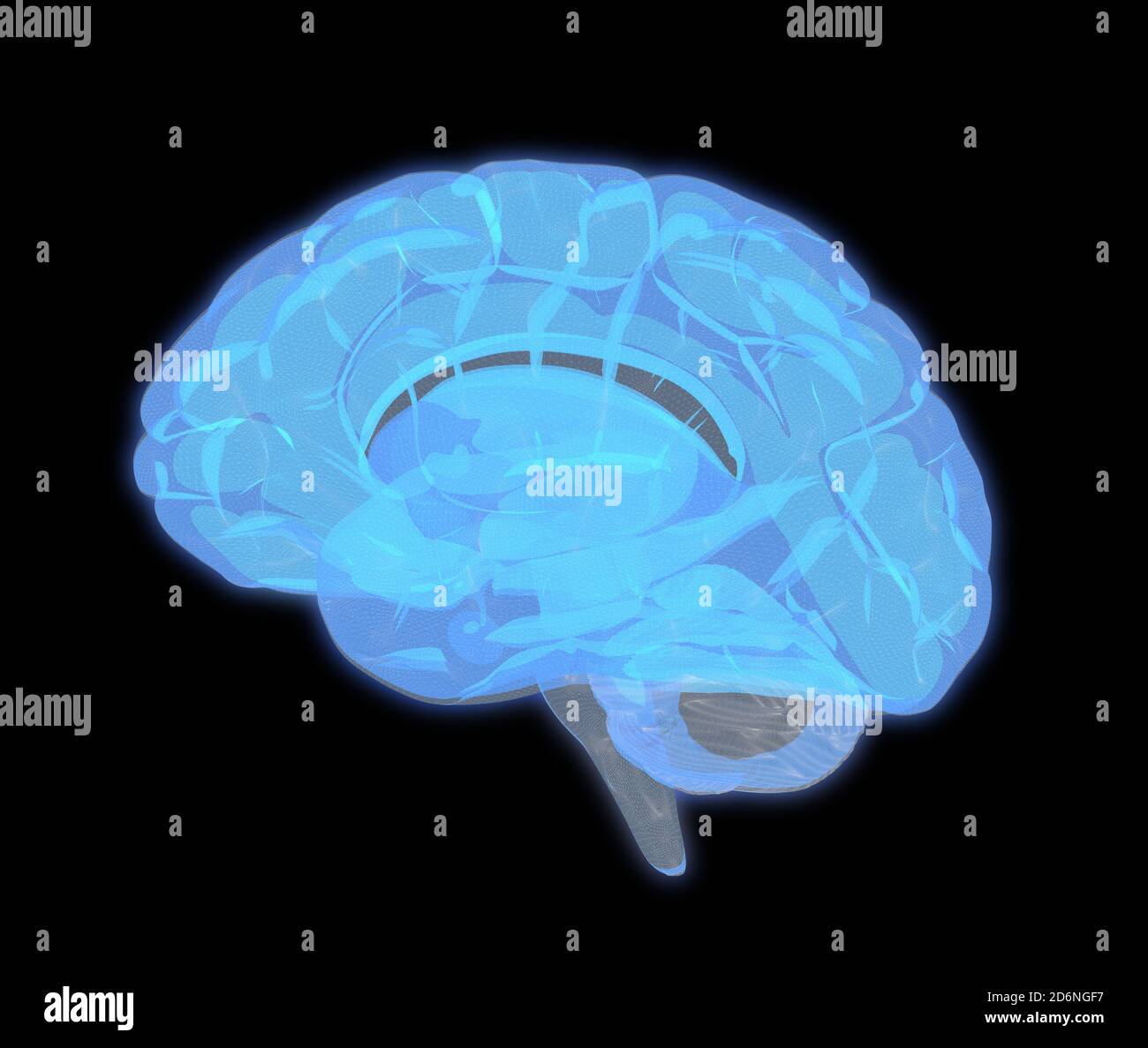 3D human brain graphic scan in side view isolated on dark background ...