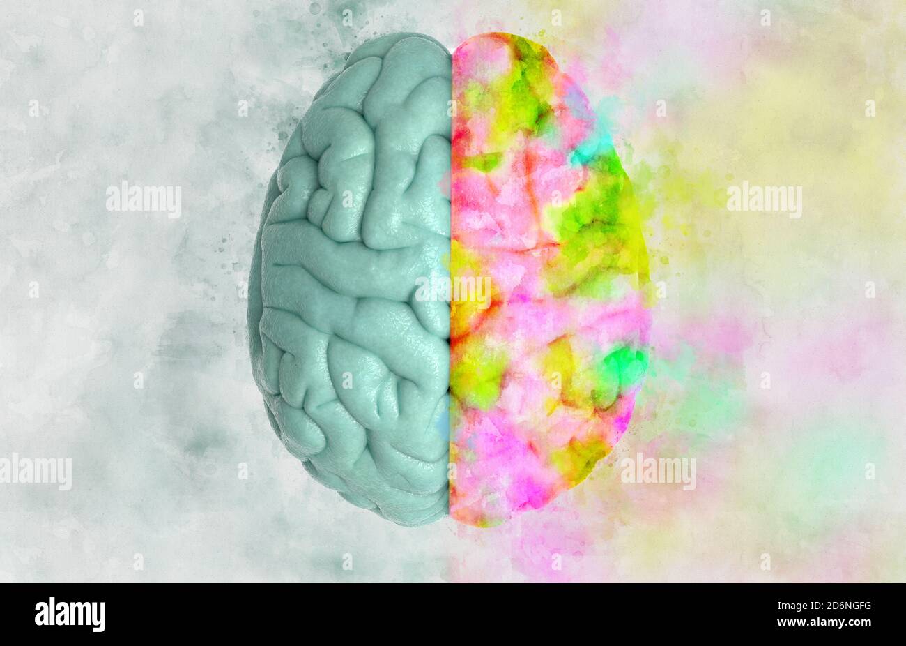3D human brain rendering in top view with left and right concept in ...