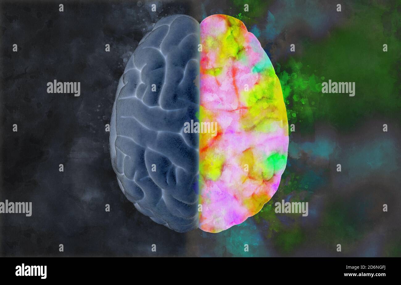 3D human brain rendering in top view with left and right concept in ...