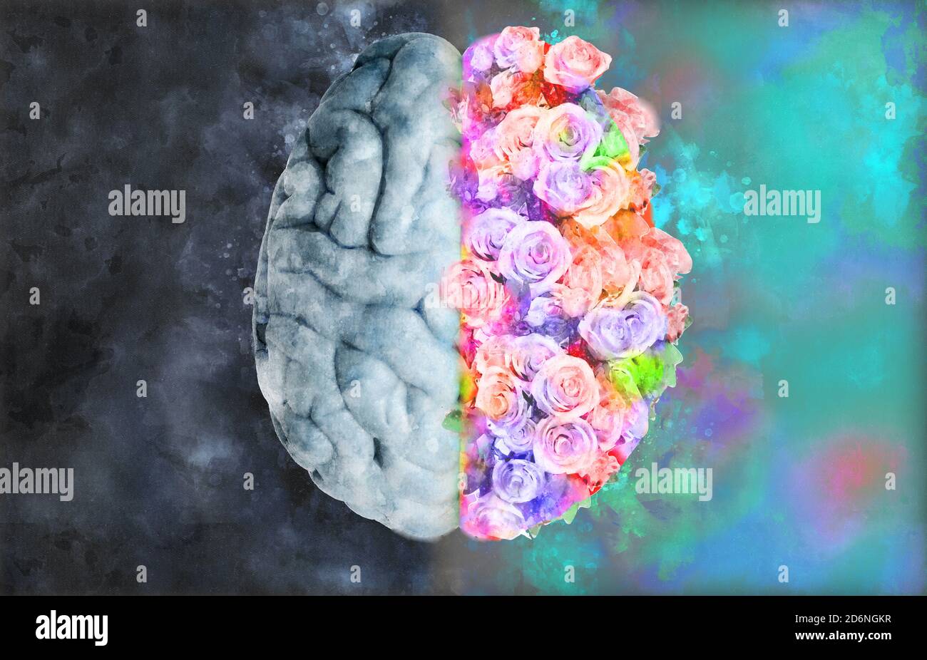 Human brain illustration on top view with monochrome left and full ...