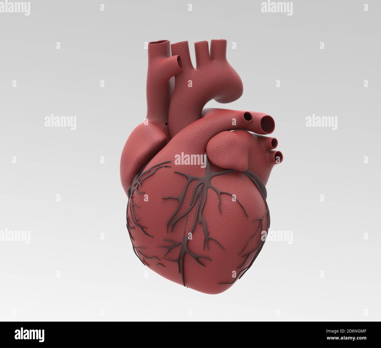 3D Rubber human heart with black veins illustration isolated on light ...