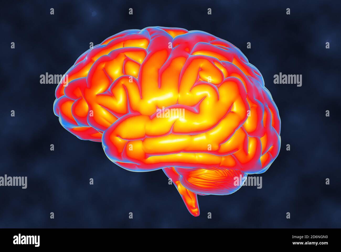 3D illustration Brain temperature MRI simulation isolated on dark blue ...