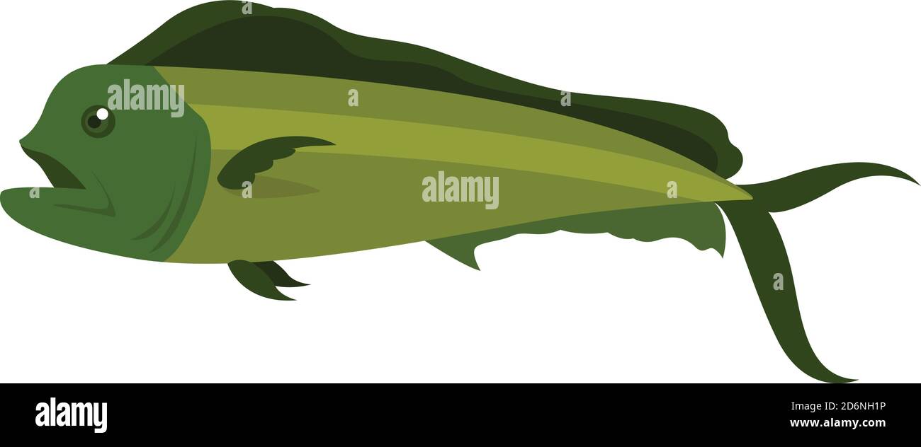 Green long fish, illustration, vector on white background Stock Vector ...