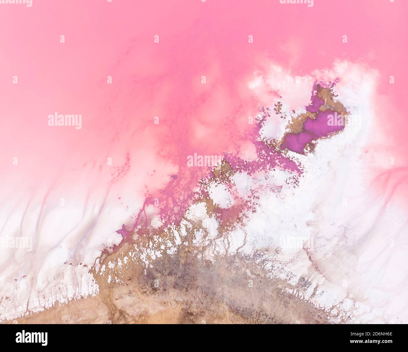 Aerial view of pink lake with purple ponds (Syvash), Ukraine Stock ...