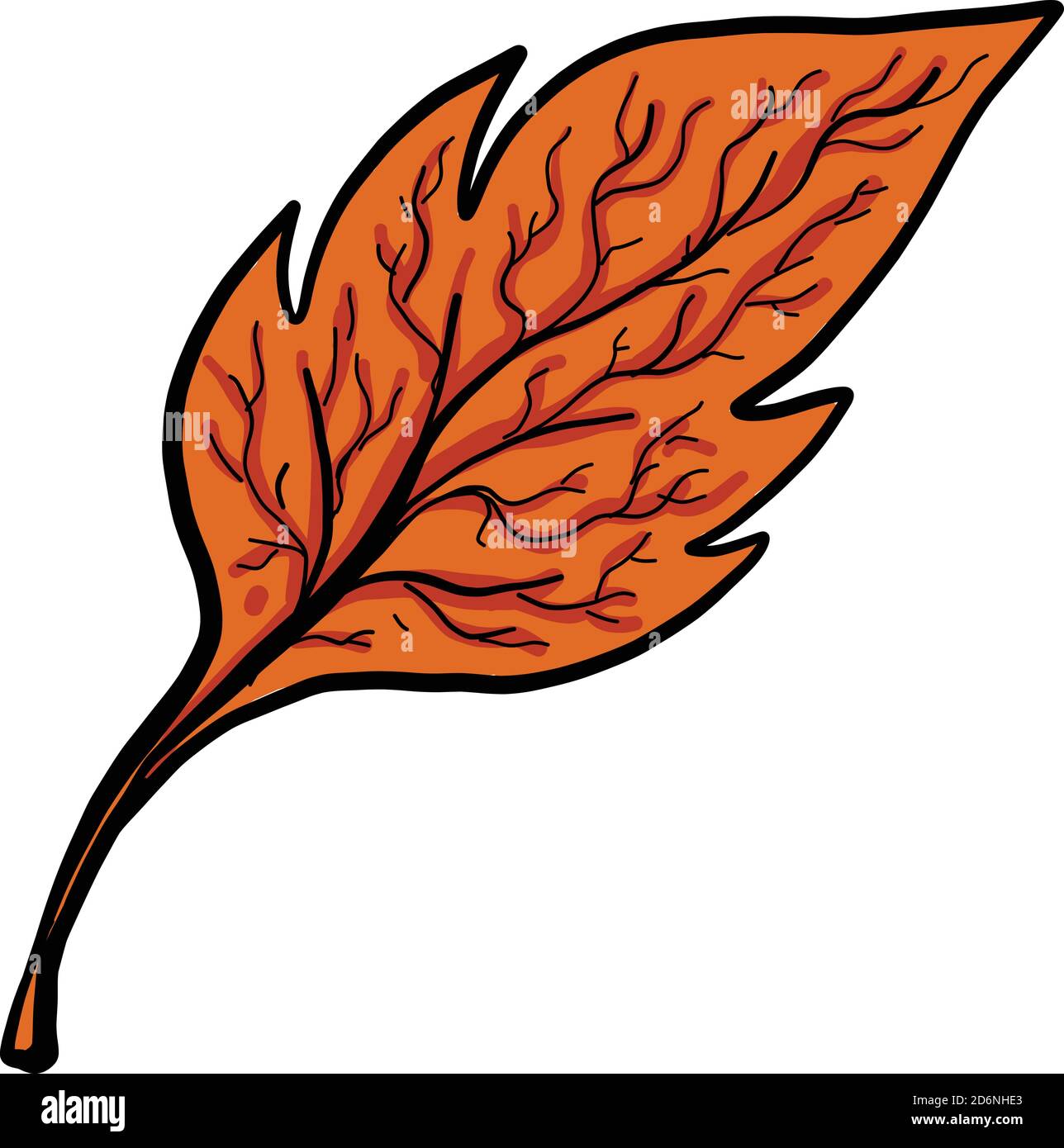 Orange leaf, illustration, vector on white background Stock Vector ...