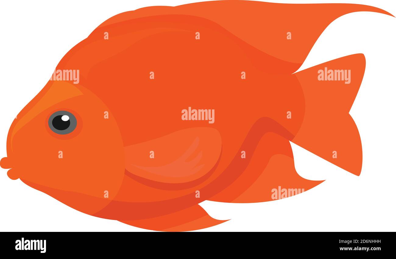 Orange fish, illustration, vector on white background Stock Vector ...