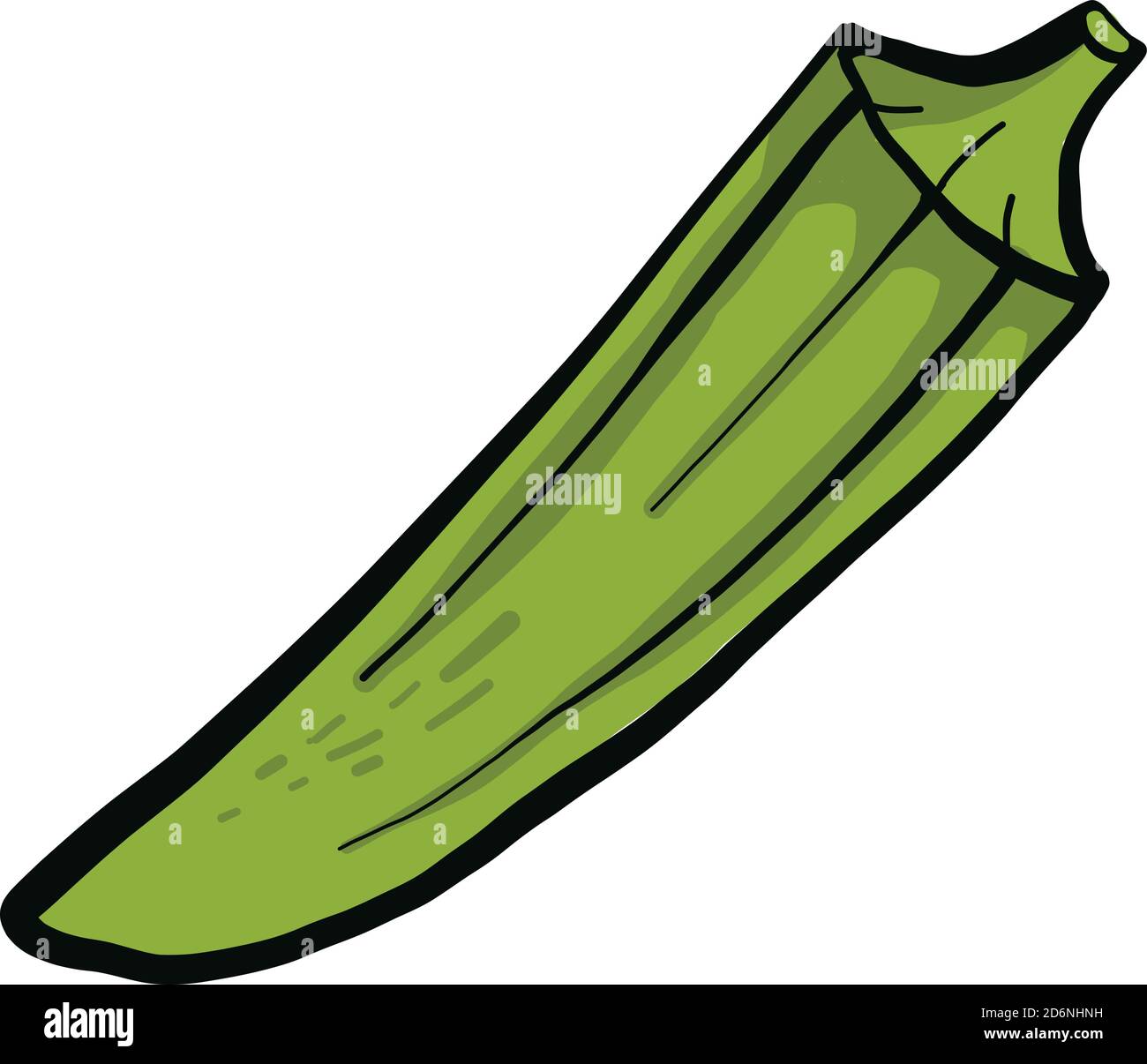 Green small okra, illustration, vector on white background Stock Vector ...