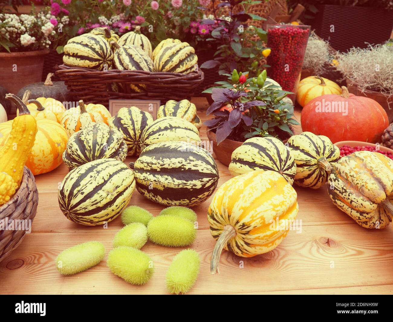 Different lifestyle hi-res stock photography and images - Alamy