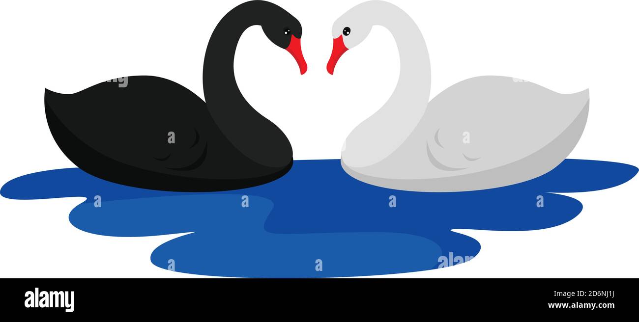 Two Swan Clipart