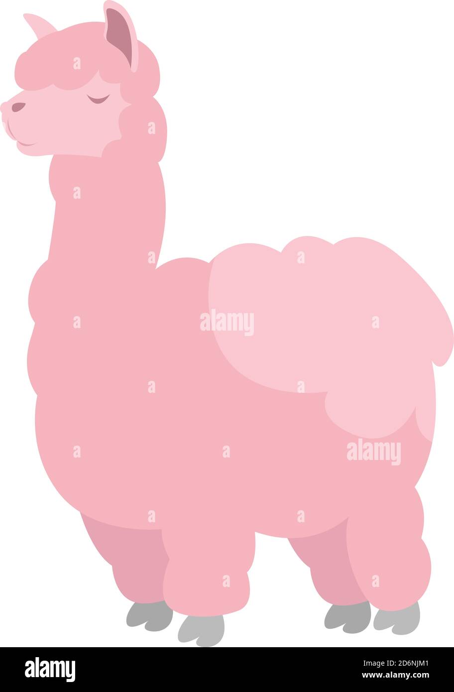 Pink llama, illustration, vector on white background Stock Vector Image ...