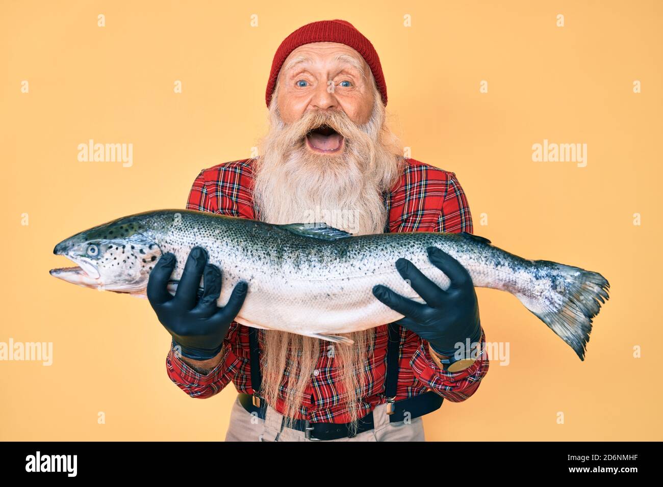 Old senior man with grey hair and long beard showing raw salmon smiling ...