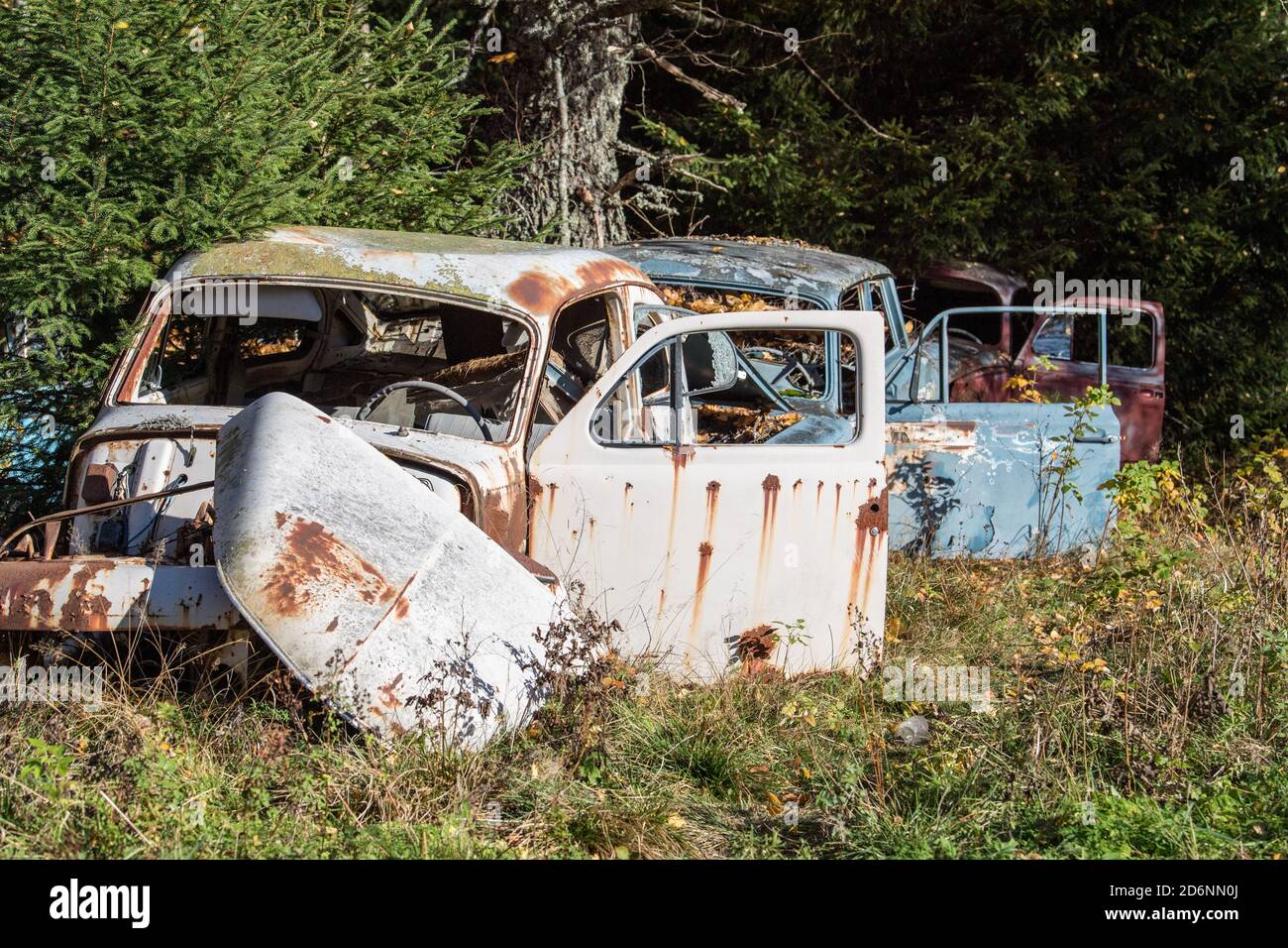 Car cemetery during autumn hi-res stock photography and images - Alamy