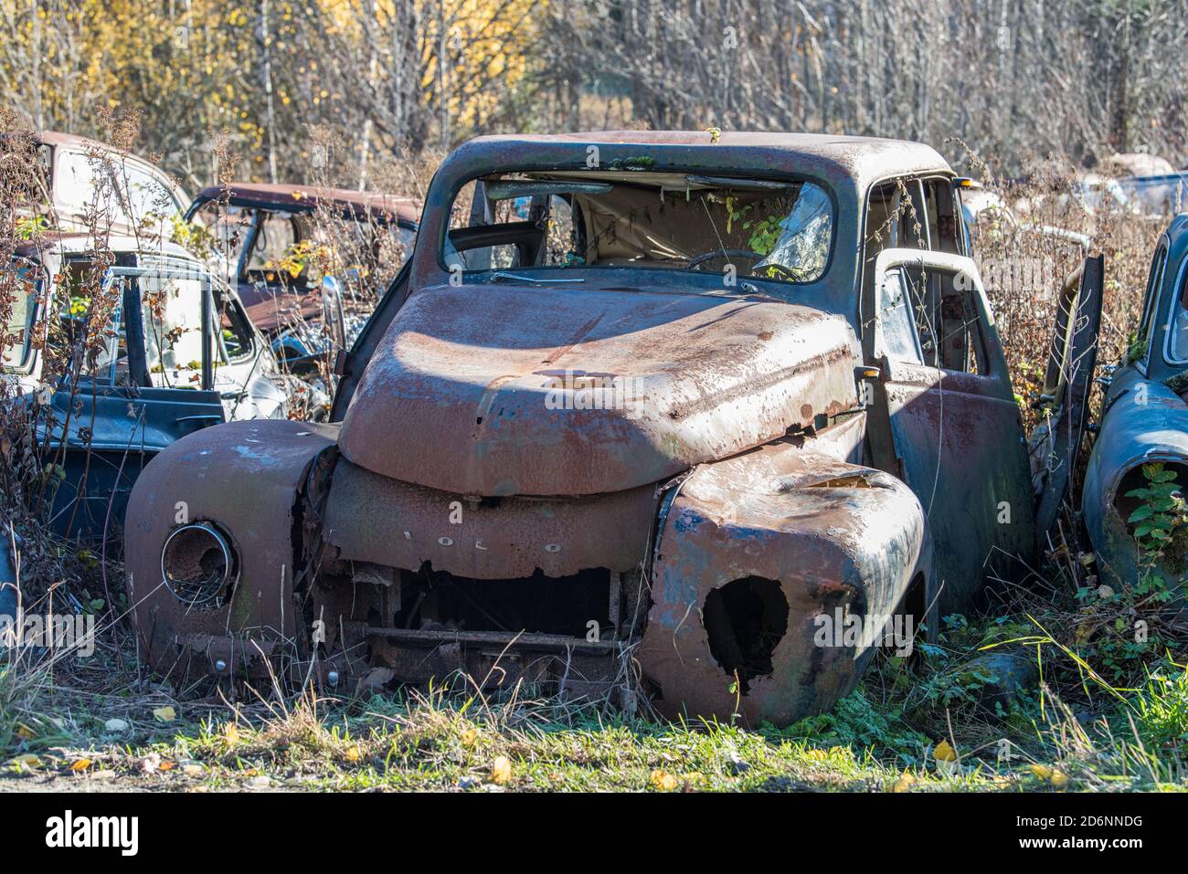 Car cemetery during autumn in Sweden Stock Photo - Alamy