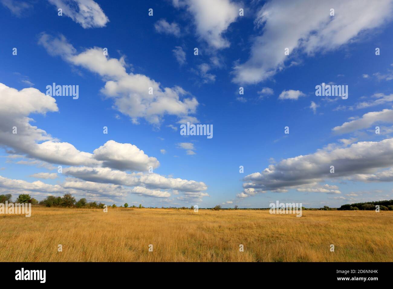 Over dry grassland hi-res stock photography and images - Alamy