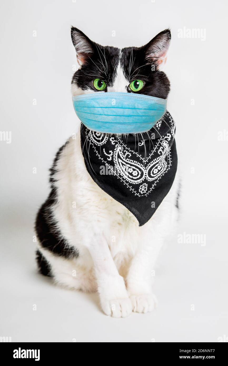 Bandana face mask hi-res stock photography and images - Alamy
