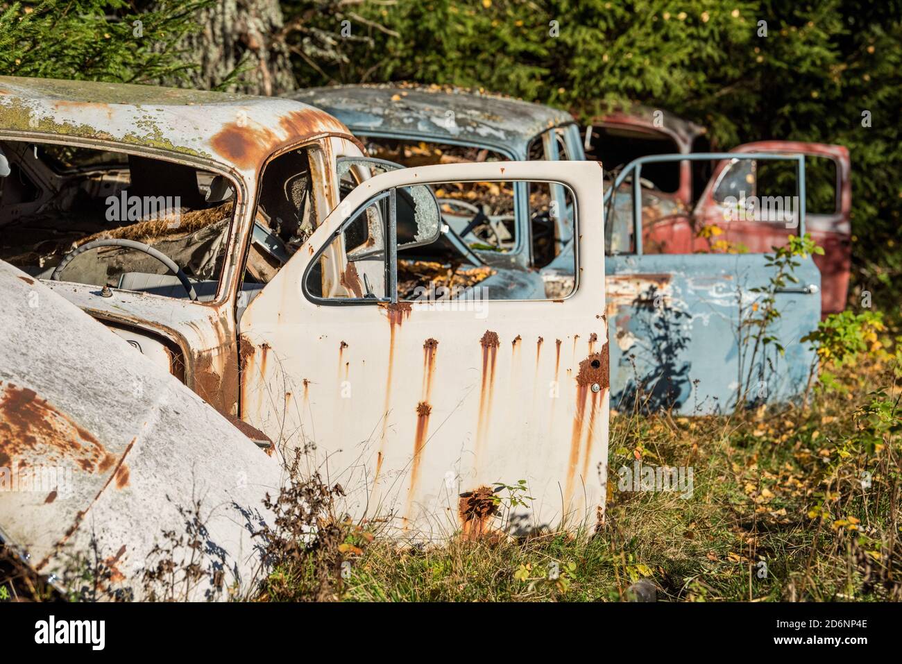 Car cemetery during autumn in Sweden Stock Photo - Alamy