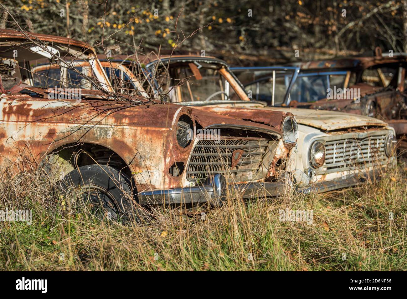 Car cemetery during autumn in Sweden Stock Photo - Alamy