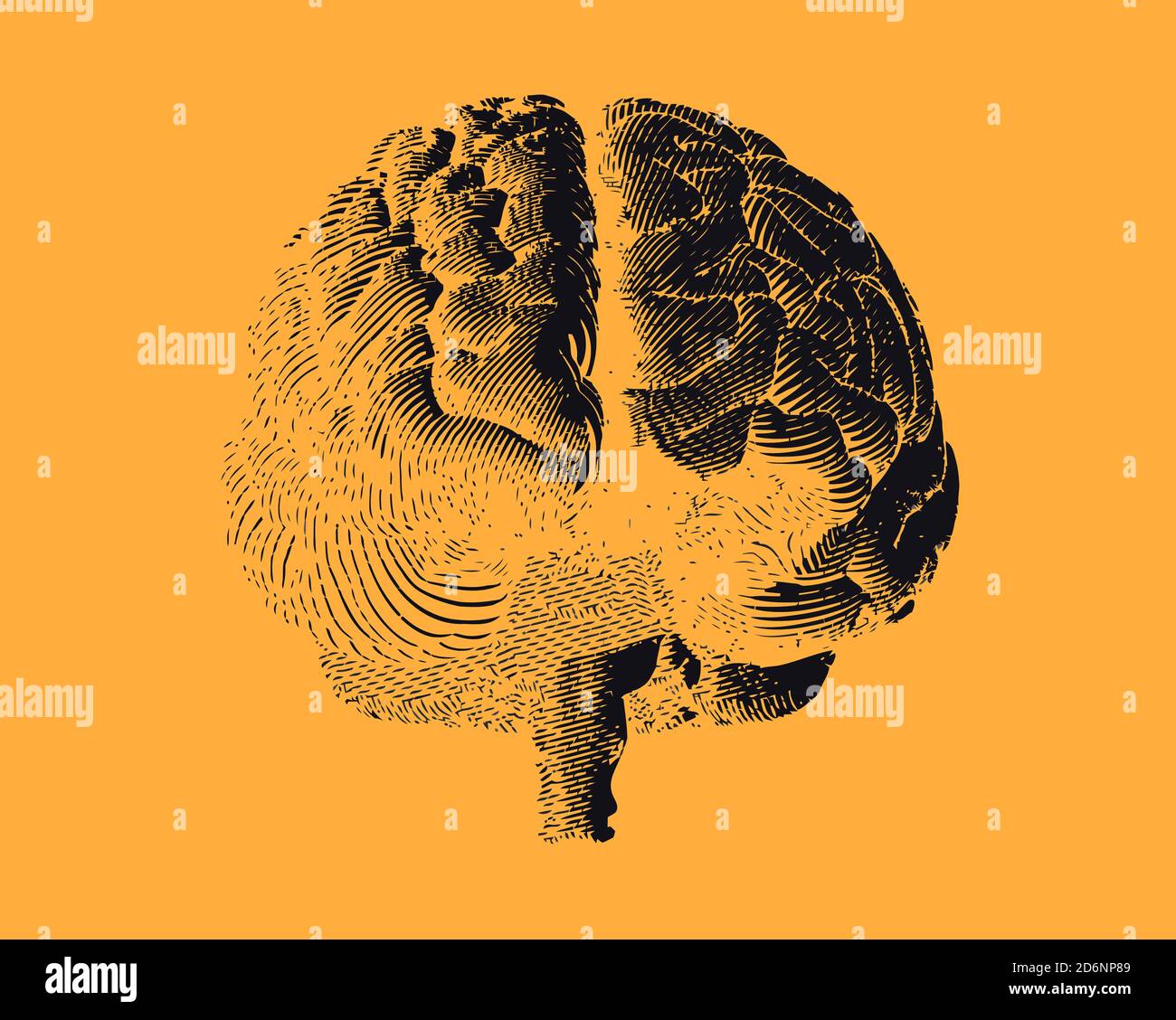 Black brain engraving drawing front view isolated on yellow orange ...
