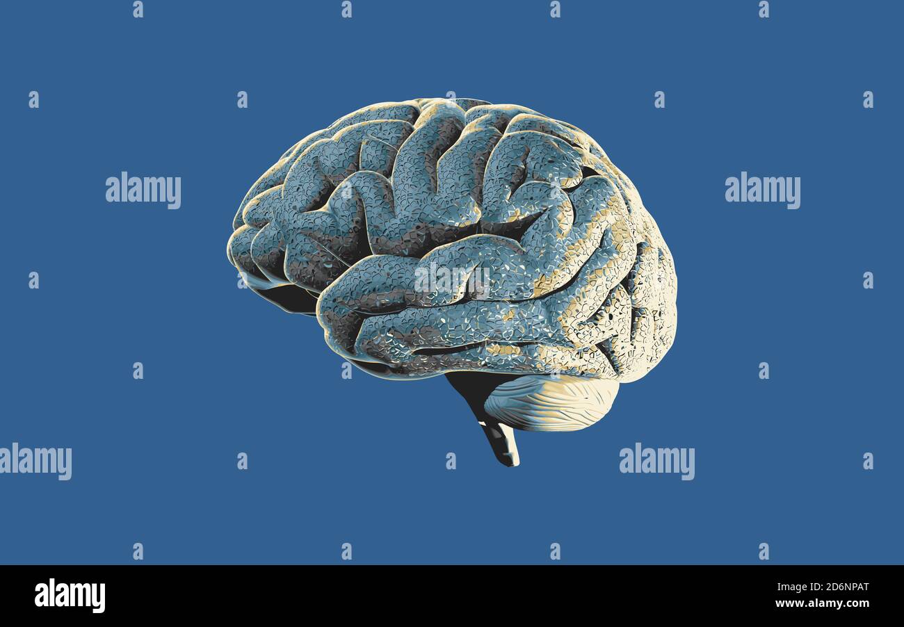 Brain drawing with color lighting and texture shading illustration ...