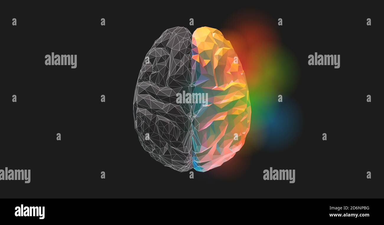 Left and right brain functions hi-res stock photography and images - Alamy