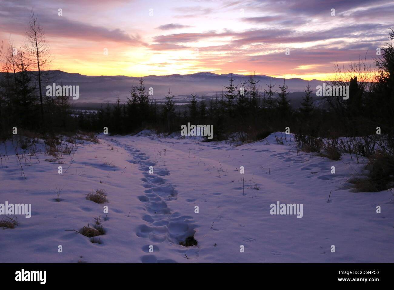 Footprints snow night hi-res stock photography and images - Alamy