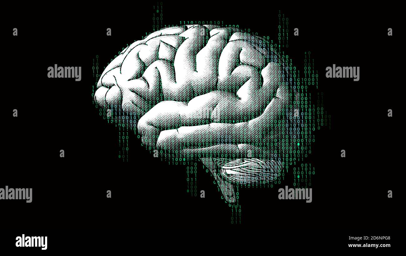 Brain side view with binary digital code AI conceptual in glowing green ...
