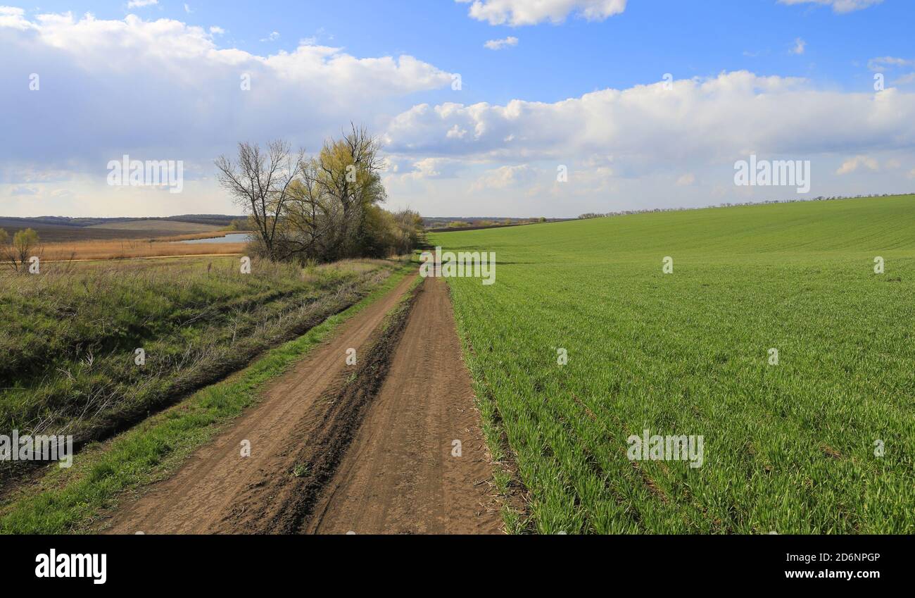 spring landscape with dirt road near green farming meadow Stock Photo ...