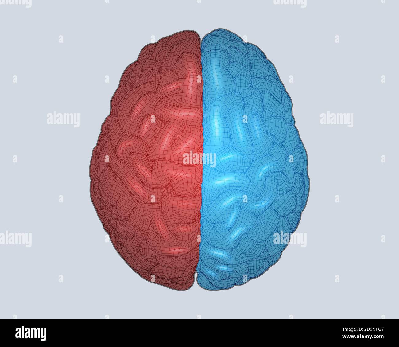 Brain wireframe illustration top view point with left and right ...