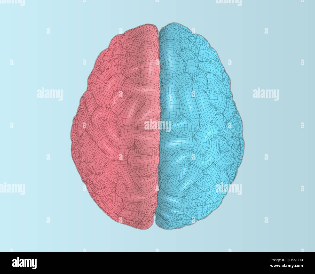Brain wireframe illustration top view point with left and right ...