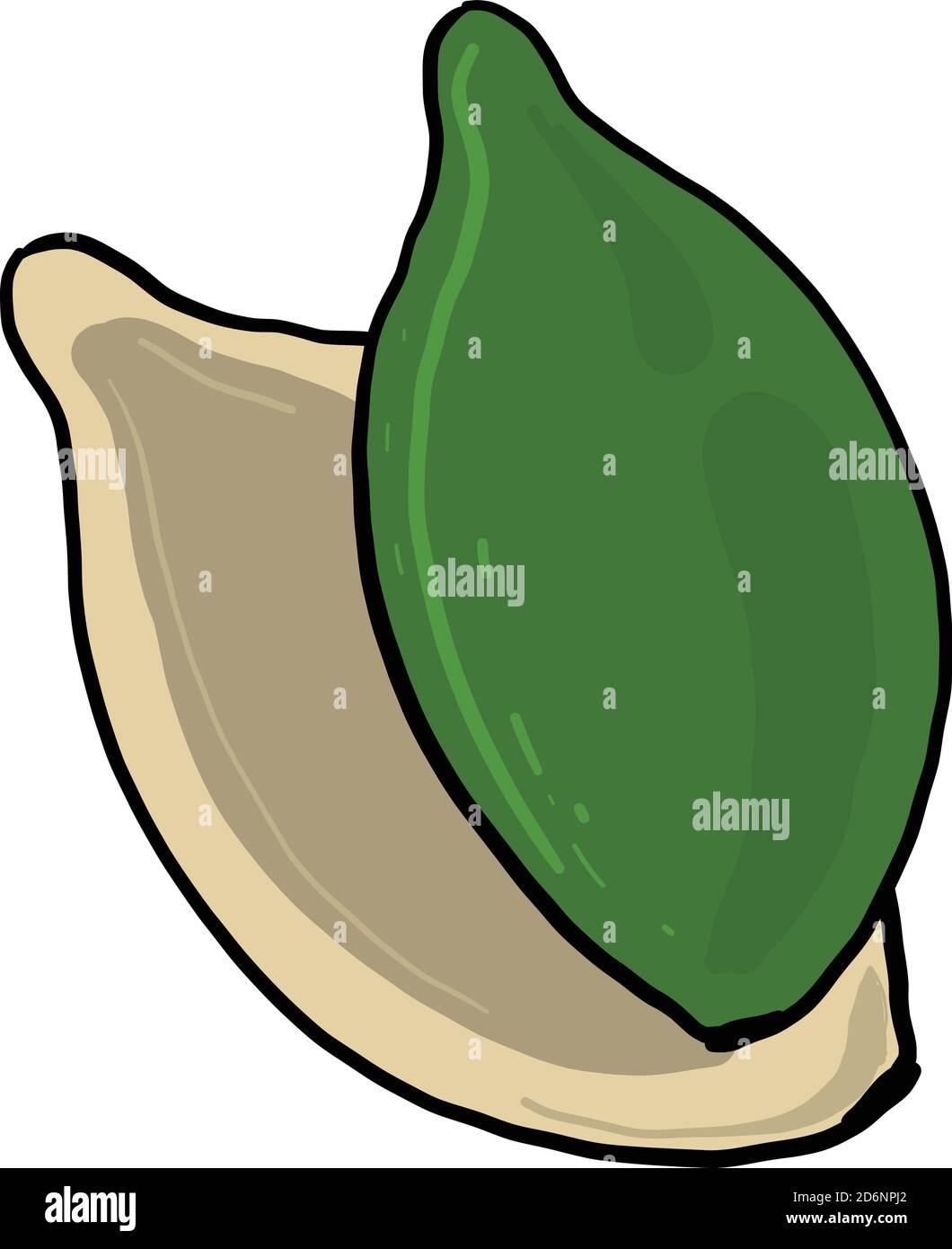 Open pumpkin seed, illustration, vector on white background Stock ...